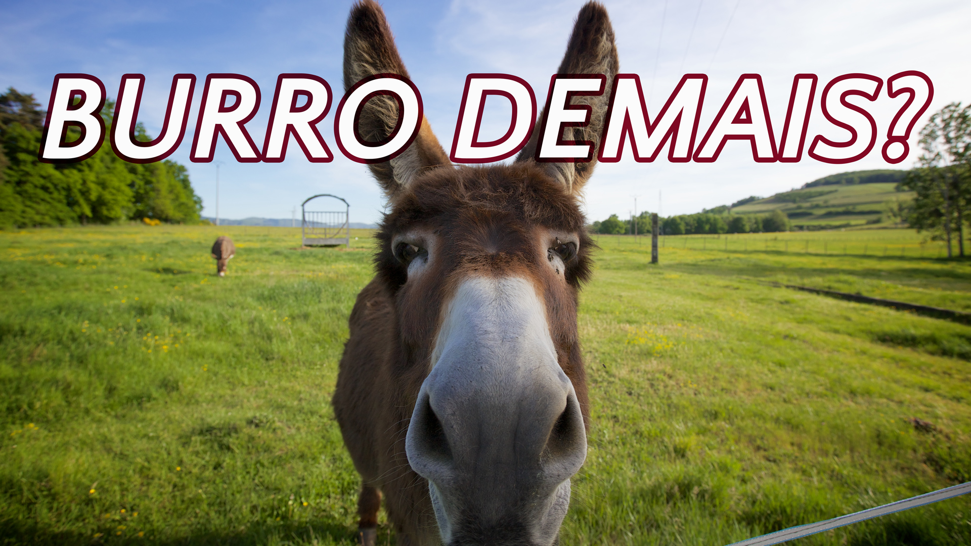 Memes Gente Burra Sem Paciência 😂